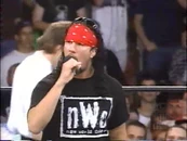 Sean Waltman, X-Pac, Syxx, 1-2-3 Kid | Wrestlepedia Wiki | Fandom