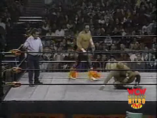 WCW Nitro 1996 | Wrestlepedia Wiki | Fandom