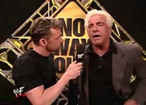 WWF No Way Out 2002 | Wrestlepedia Wiki | Fandom