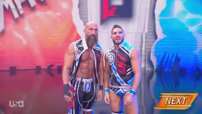 DIY | Wrestlepedia Wiki | Fandom