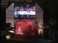 WWF Royal Rumble 1996 | Wrestlepedia Wiki | Fandom