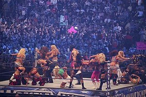 WWE Divas | Wrestlepedia Wiki | Fandom
