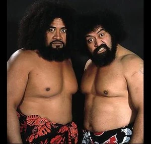 The Wild Samoans | Wrestlepedia Wiki | Fandom
