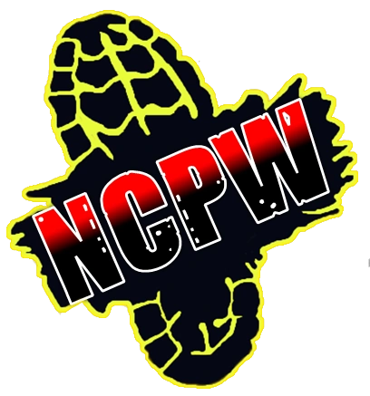 NCPW2 | Wrestlepedia Wiki | Fandom