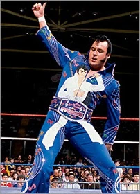 The Honky Tonk Man | Wrestlepedia Wiki | Fandom