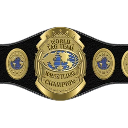 nwo tag team championship