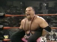 Jim Neidhart | Wrestlepedia Wiki | Fandom