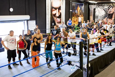 Fcw Wrestling Divas 2022