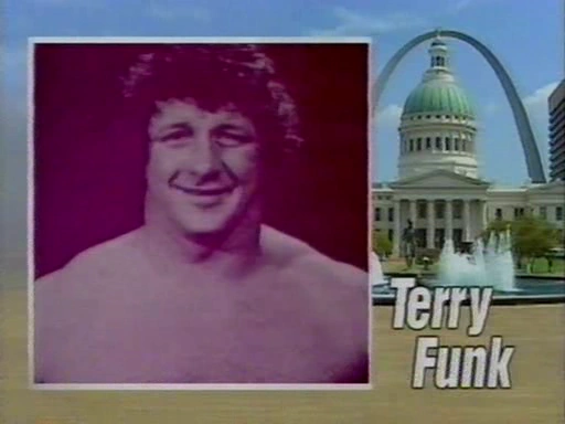 Terry Funk | Wrestlepedia Wiki | Fandom