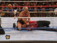 WWF WrestleMania 12 | Wrestlepedia Wiki | Fandom