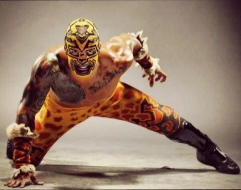 Ricochet | Wrestlepedia Wiki | Fandom