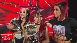 Damage Control | Wrestlepedia Wiki | Fandom