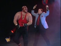 WWF WrestleMania 12 | Wrestlepedia Wiki | Fandom