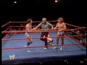 American Wrestling Association | Wrestlepedia Wiki | Fandom