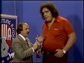 American Wrestling Association | Wrestlepedia Wiki | Fandom