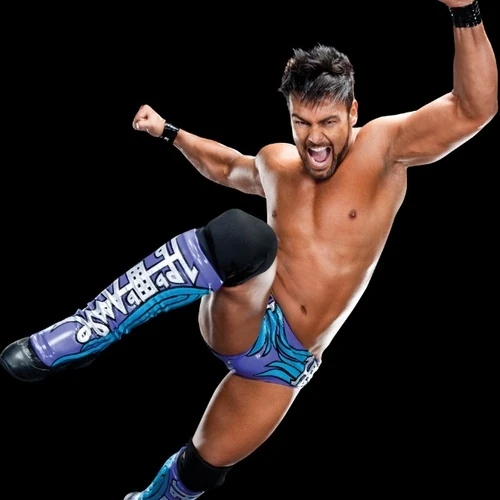 Justin Gabriel 2011