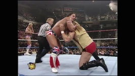 WWF WrestleMania 11 | Wrestlepedia Wiki | Fandom