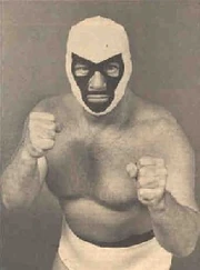 Mr. Wrestling | Wrestlepedia Wiki | Fandom