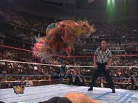 WWF WrestleMania 12 | Wrestlepedia Wiki | Fandom