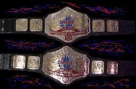 American Wrestling Association World Tag Team Championship ...