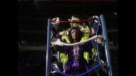Sensational Sherri | Wrestlepedia Wiki | Fandom