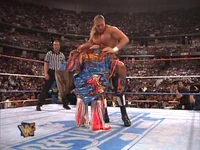 WWF WrestleMania 12 | Wrestlepedia Wiki | Fandom