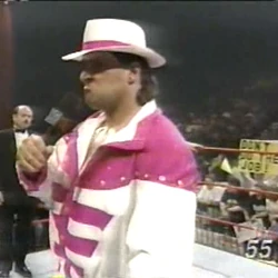 salvatore sincere theme