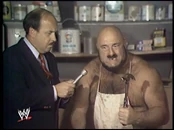 American Wrestling Association | Wrestlepedia Wiki | Fandom