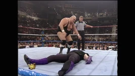 WWF WrestleMania 11 | Wrestlepedia Wiki | Fandom