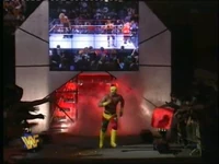 WWF Royal Rumble 1996 | Wrestlepedia Wiki | Fandom