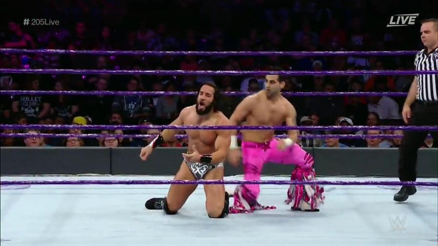 205 Live 2016 | Wrestlepedia Wiki | Fandom