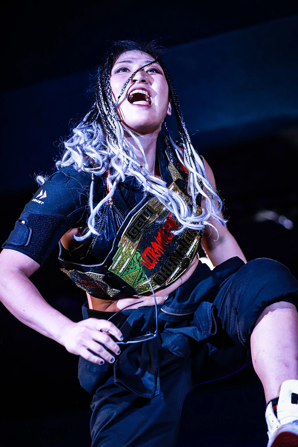 Rina Yamashita | Wrestling JAT Wiki | Fandom