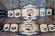 TNA World Tag Team Championship | Wrestling Wiki | Fandom