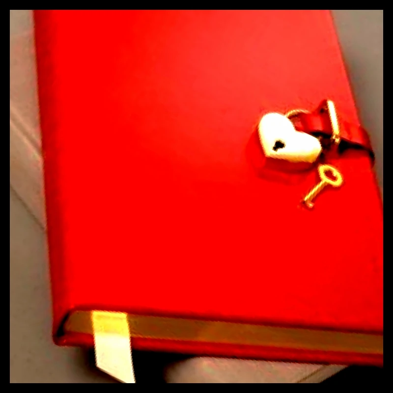 The Diary | The Writing Club | Fandom