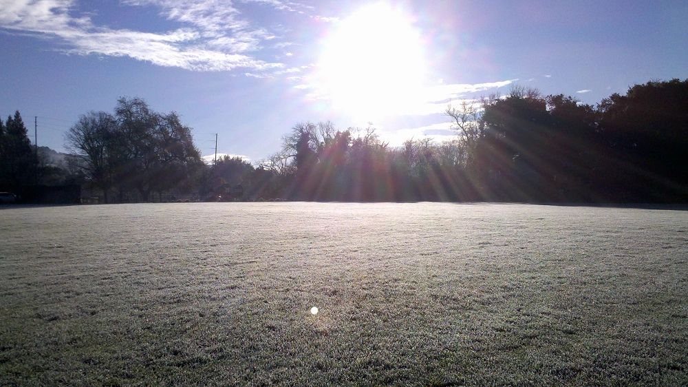 Badger Park | W. Scott Pattullo Wiki | Fandom