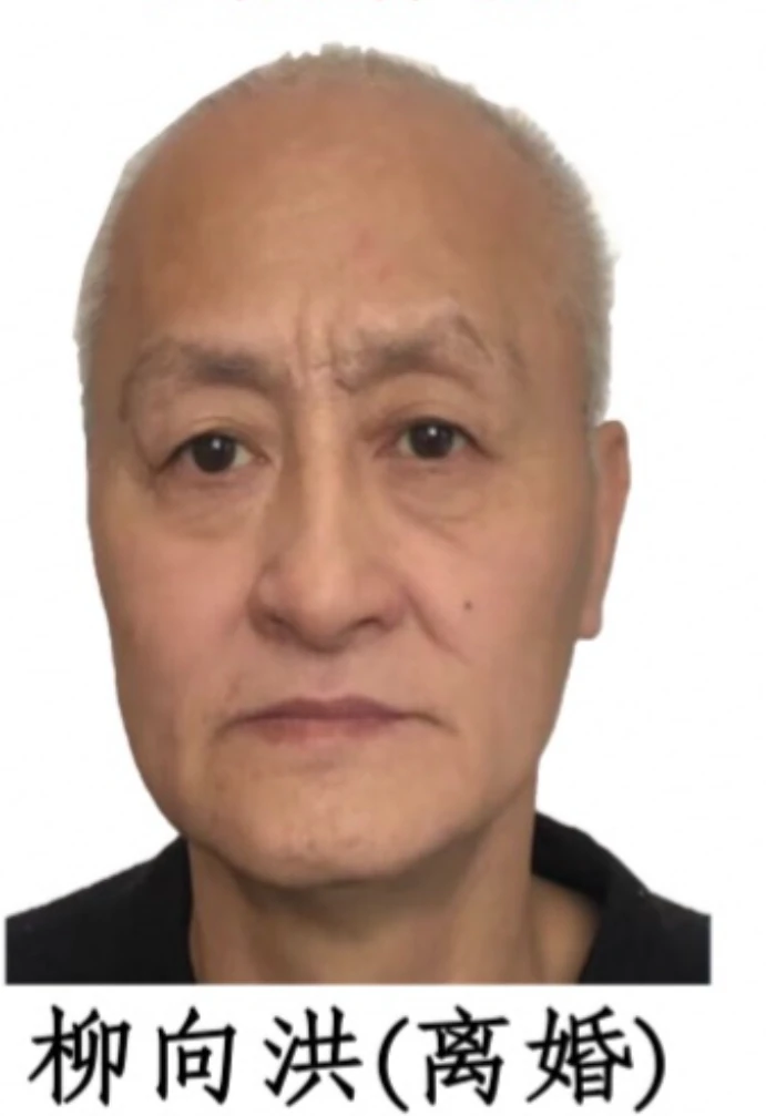 柳向洪 | Wubo Wiki | Fandom