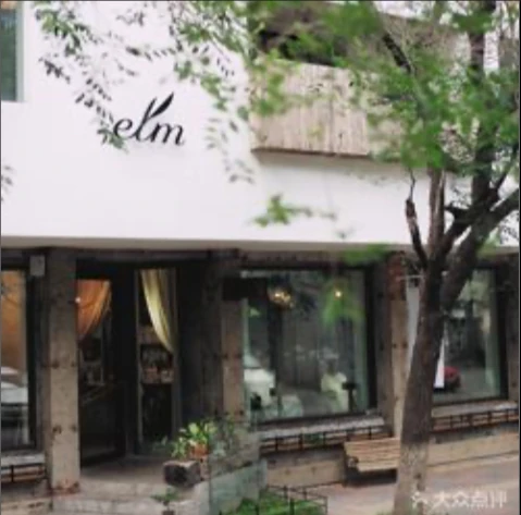 Elm榆樹 | Wubo Wiki | Fandom