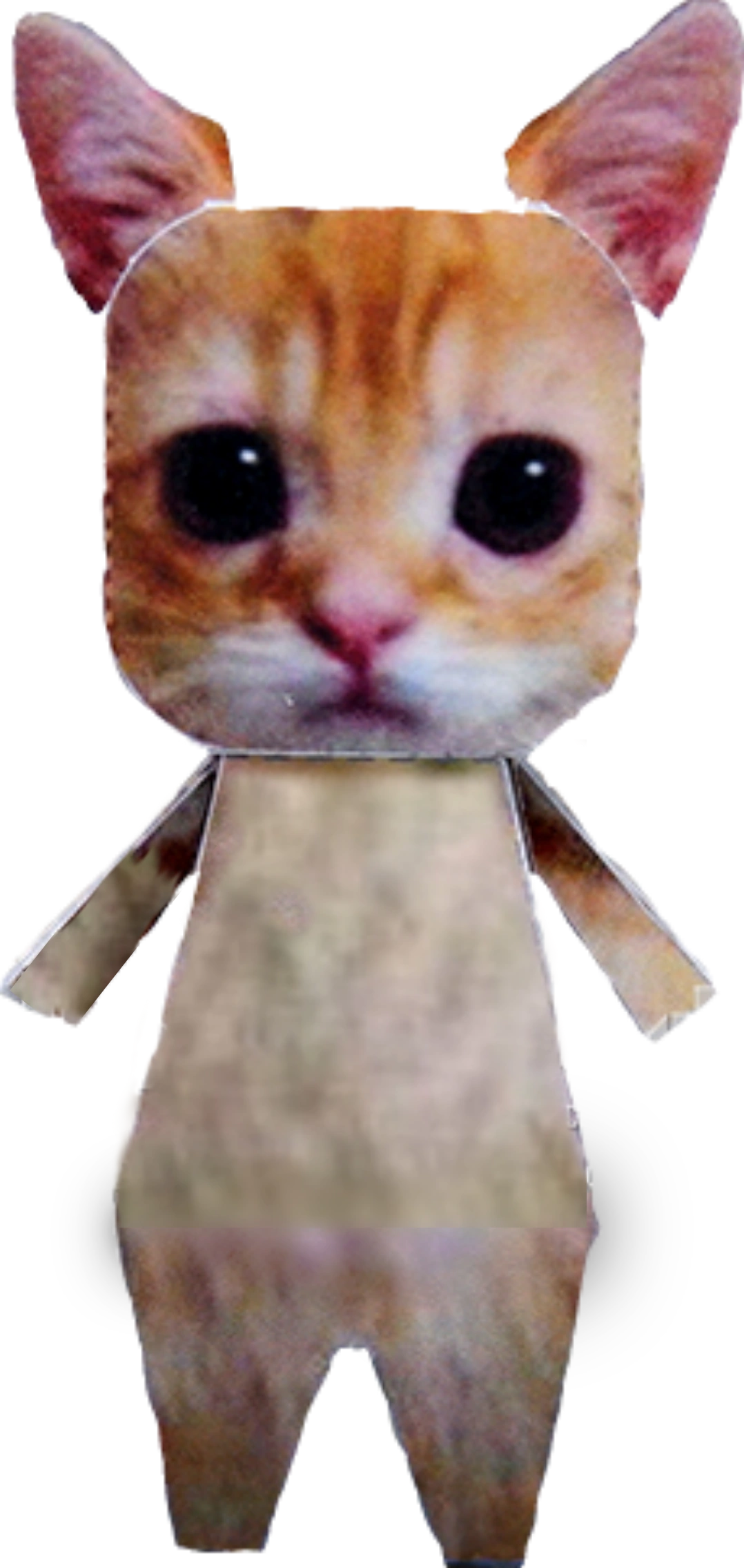 El gato | Wuptbstumasswu2yo Wiki | Fandom