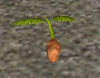 Sprout (росток) | Wurm Unlimited Вики | Fandom