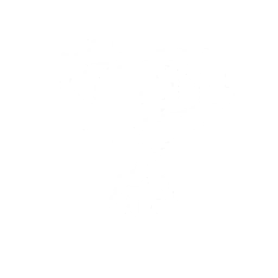 Zig Zag | Wiki Wuthering Waves | Fandom