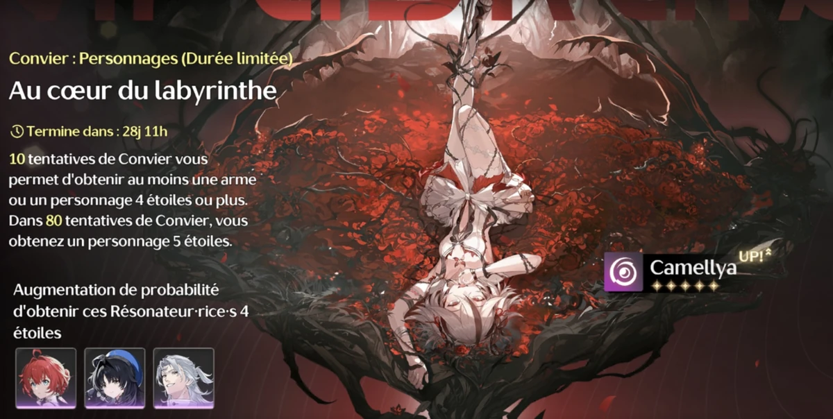 Au cœur du labyrinthe | Wiki Wuthering Waves | Fandom