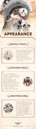Lingyang/Gallery | Wuthering Waves Wiki | Fandom