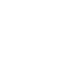 Troupe of Fools | Wuthering Waves Wiki | Fandom