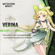 Verina/Gallery | Wuthering Waves Wiki | Fandom