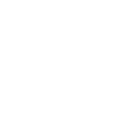 Roya Tribe | Wuthering Waves Wiki | Fandom