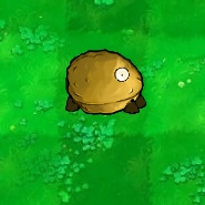 Sheep-nut | Worms vs. Zombies Wiki | Fandom