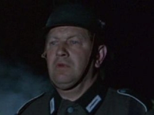 German Sentry at Chateau | WW2 Movie Characters Wiki | Fandom