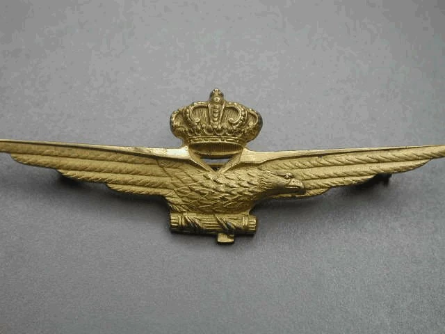 Category:Pilot's Badge Winners (Italy) | WW2 Movie Characters Wiki | Fandom