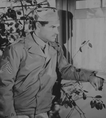 Terry Hunter | WW2 Movie Characters Wiki | Fandom