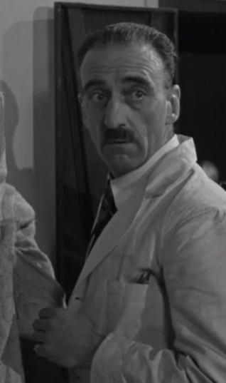 Vogel (The Goose Steps Out) | WW2 Movie Characters Wiki | Fandom